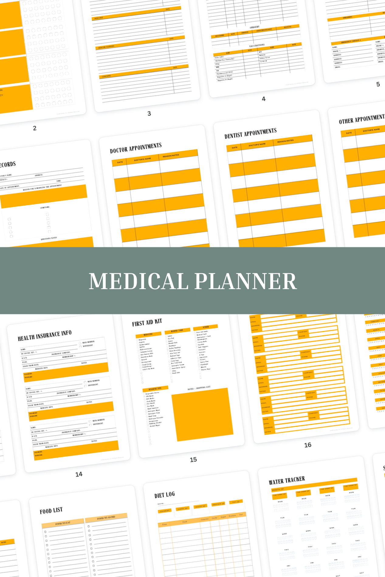Medical Planner [27 pages] – Addi Ganley